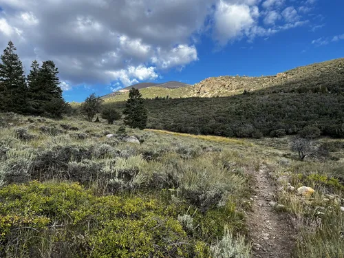 10 Best Hikes and Trails in Great Basin National Park | AllTrails