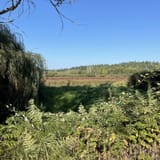 Mercer Slough Nature Park, Washington - 982 Reviews, Map | AllTrails