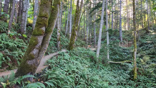 2023 Best Easy Trails in Comox Valley B | AllTrails