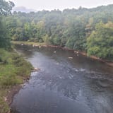 Redbank Valley Trail, Pennsylvania - 161 Reviews, Map | AllTrails