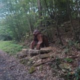 Redbank Valley Trail, Pennsylvania - 161 Reviews, Map | AllTrails