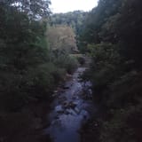 Redbank Valley Trail, Pennsylvania - 161 Reviews, Map | AllTrails