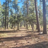 Box Canyon Trail, Arizona - 406 Reviews, Map | AllTrails