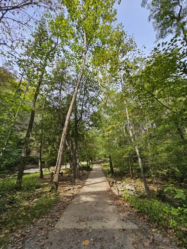 Best Hikes and Trails in Natural Bridge State Park | AllTrails