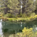 Fall River Loop, Oregon - 457 Reviews, Map | AllTrails