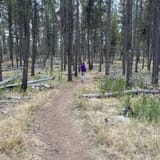 Fall River Loop, Oregon - 457 Reviews, Map | AllTrails