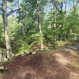 Hideout Hollow Trail, Arkansas - 565 Reviews, Map | AllTrails