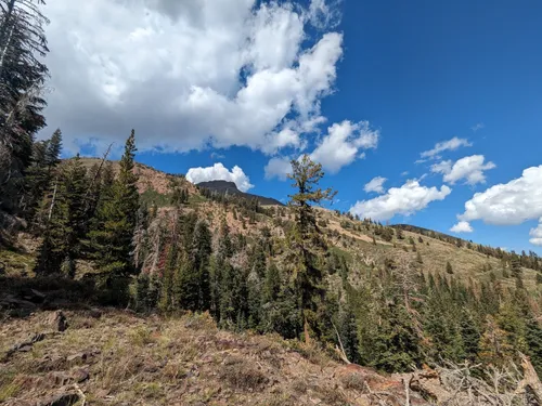 10 Best Off Road Driving Trails in Humboldt-Toiyabe National Forest ...