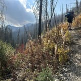 Numa Creek Trail, British Columbia, Canada - 96 Reviews, Map | AllTrails