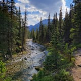 Junction Falls Trail, Alberta, Canada - 1,078 Reviews, Map | AllTrails