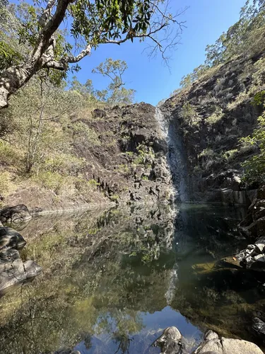 10 Best Hikes and Trails in Girringun National Park | AllTrails