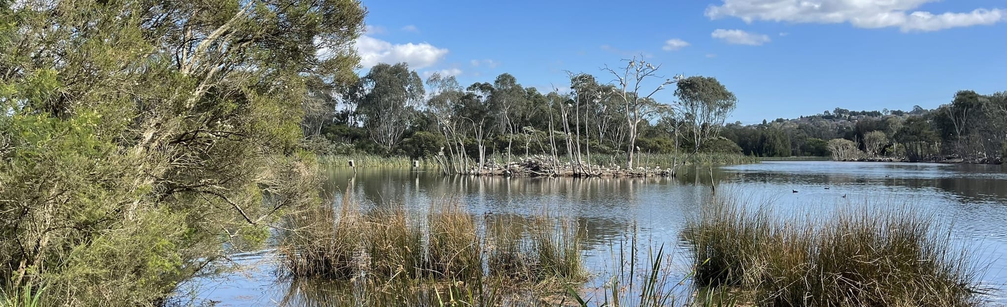 Jells Lake via Scotchmans Creek Trail: 36 Reviews, Map - Victoria ...