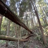Ridge Loop Trail , Washington - 403 Reviews, Map | AllTrails