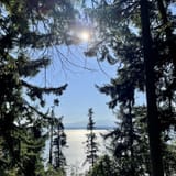 Ridge Loop Trail , Washington - 403 Reviews, Map | AllTrails
