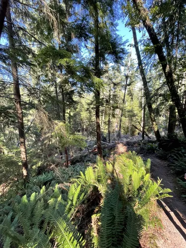 2023 Best Wildlife Trails in Freeland | AllTrails