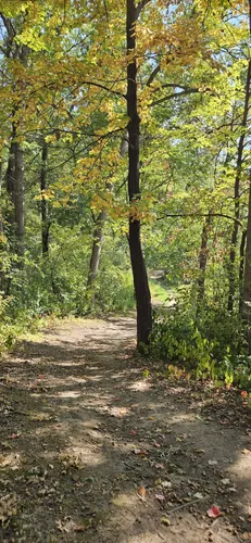 Best Hikes and Trails in Tamarack Nature Preserve | AllTrails