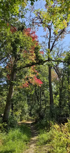 Best Hikes and Trails in Tamarack Nature Preserve | AllTrails
