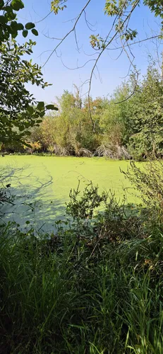 Best Hikes and Trails in Tamarack Nature Preserve | AllTrails