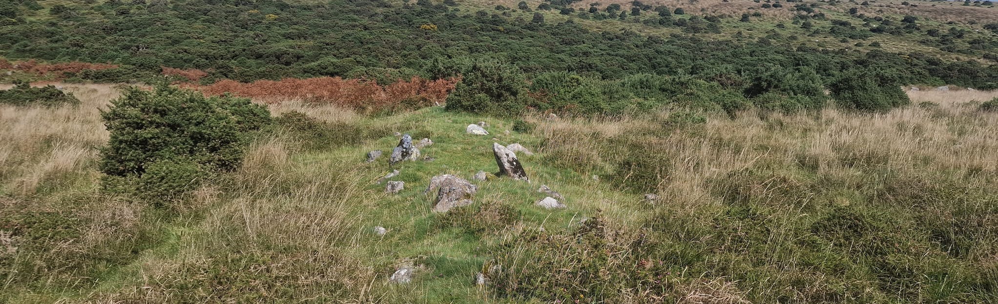Lee Moor and Quarry, Devon, England - 13 Reviews, Map | AllTrails