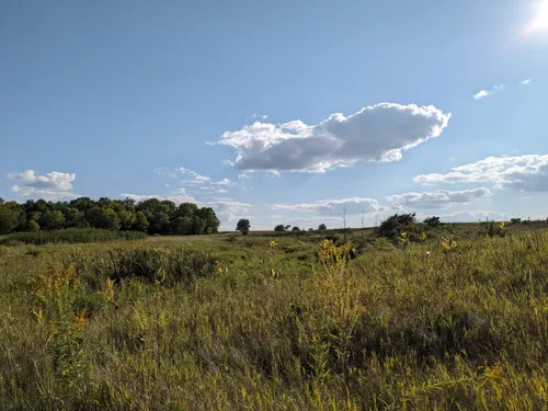 Best Hikes and Trails in Thomas Mitchell County Park | AllTrails