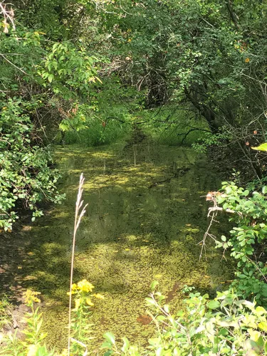 2023 Best Lake Trails in Mundelein | AllTrails 2023 Best Lake Trails in Mundelein | AllTrails