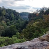 Pisgah Gorge Trail, Alabama - 277 Reviews, Map | AllTrails