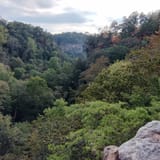 Pisgah Gorge Trail, Alabama - 277 Reviews, Map | AllTrails