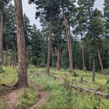 Grindstone Canyon Loop, New Mexico - 1,520 Reviews, Map | AllTrails