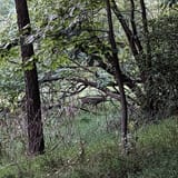 Windolph Landing Preserve Trail, Pennsylvania - 95 Reviews, Map | AllTrails