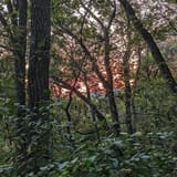 Windolph Landing Preserve Trail, Pennsylvania - 95 Reviews, Map | AllTrails