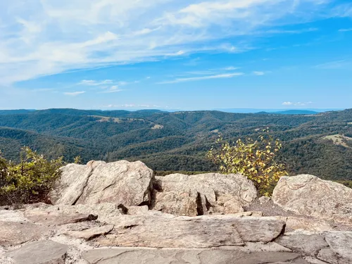 Lost River State Park: de beste routes om te wandelen | AllTrails