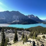 Bow Summit Viewpoint, Alberta, Canada - 737 Reviews, Map | AllTrails