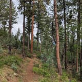 Grindstone Canyon Loop, New Mexico - 1,520 Reviews, Map | AllTrails