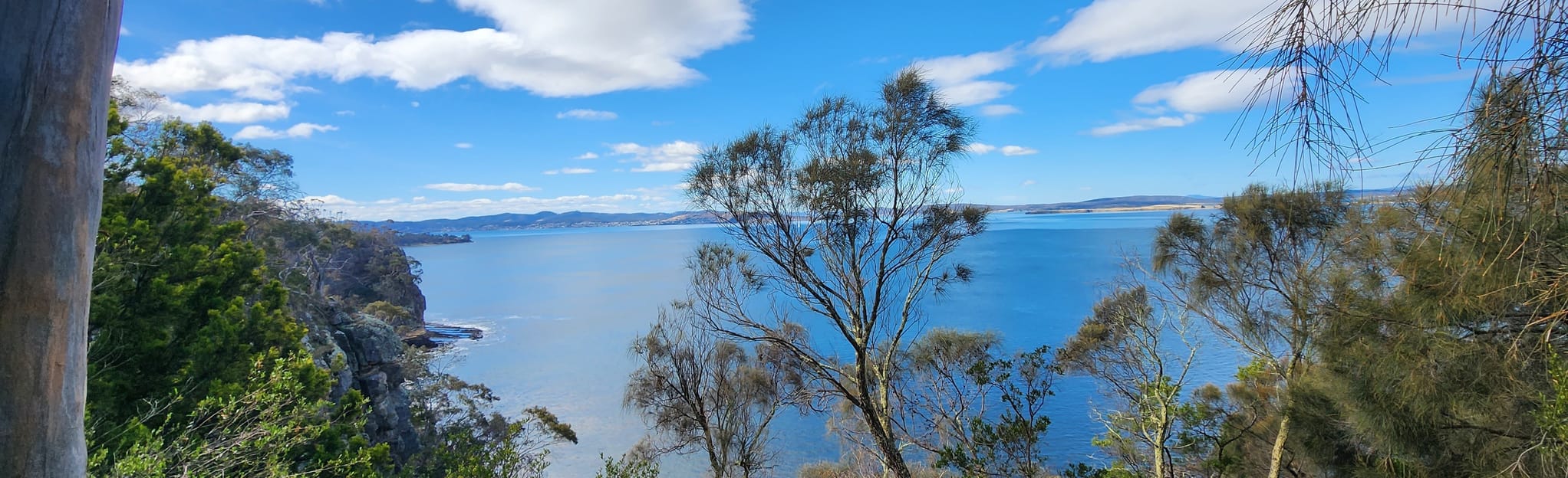 Alum Cliffs Track, Tasmania, Australia - 224 Reviews, Map | AllTrails