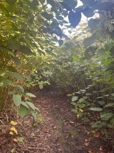 Best Hikes and Trails in Red Jacket Riverfront Park | AllTrails