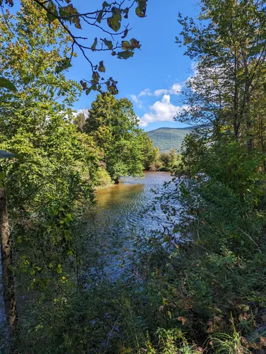 Best Hikes and Trails in Arlington Recreation Park | AllTrails