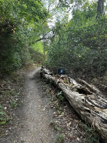 Best Hikes and Trails in Harry Moss Park | AllTrails