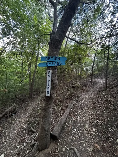 Best Hikes and Trails in Sopac Trail | AllTrails