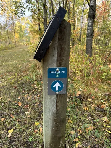 Best Hikes and Trails in Old Mill State Park | AllTrails