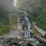 Racehorse Falls Trail, Washington - 433 Reviews, Map | AllTrails