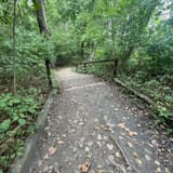 Neshaminy State Park, Pennsylvania - 1,051 Reviews, Map | AllTrails