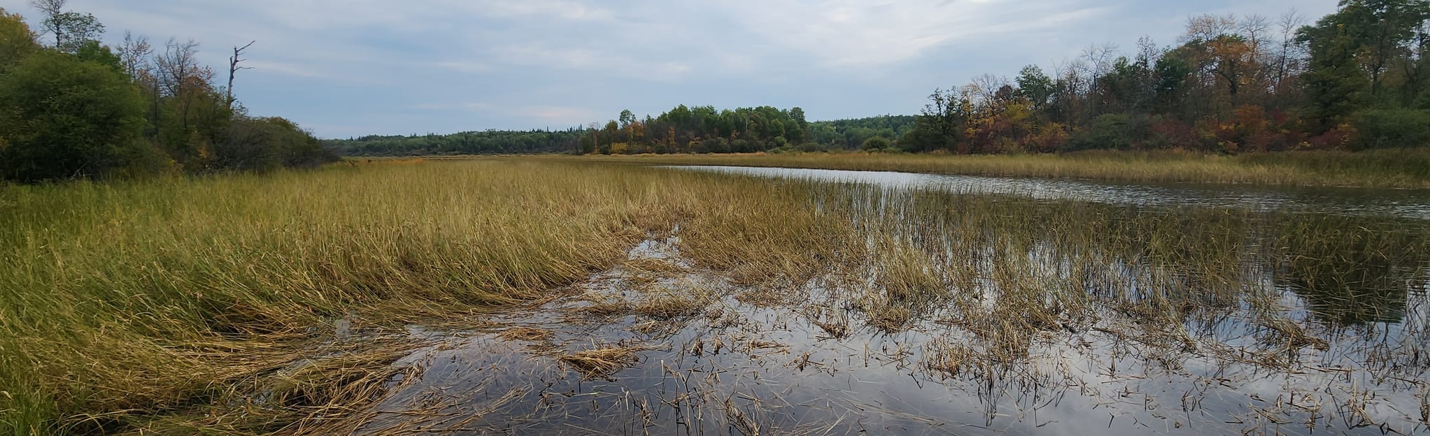 Little Whiteshell Trail: 4 Reviews, Map - Manitoba, Canada | AllTrails