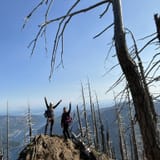 Mount Rose Trail, Washington - 1,384 Reviews, Map | AllTrails