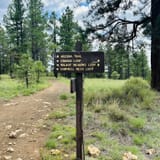 Campbell Mesa Loop, Arizona - 1,231 Reviews, Map | AllTrails