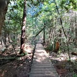 Cyprus Lake Trail, Ontario, Canada - 314 Reviews, Map | AllTrails