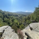 Fiery Gizzard Loop, Tennessee - 1,039 Reviews, Map | AllTrails