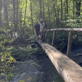 The Boogerman Trail, North Carolina - 489 Reviews, Map | AllTrails