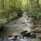 The Boogerman Trail, North Carolina - 489 Reviews, Map | AllTrails