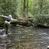 The Boogerman Trail, North Carolina - 489 Reviews, Map | AllTrails