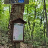 Case Mountain Trail, Connecticut - 1,058 Reviews, Map | AllTrails